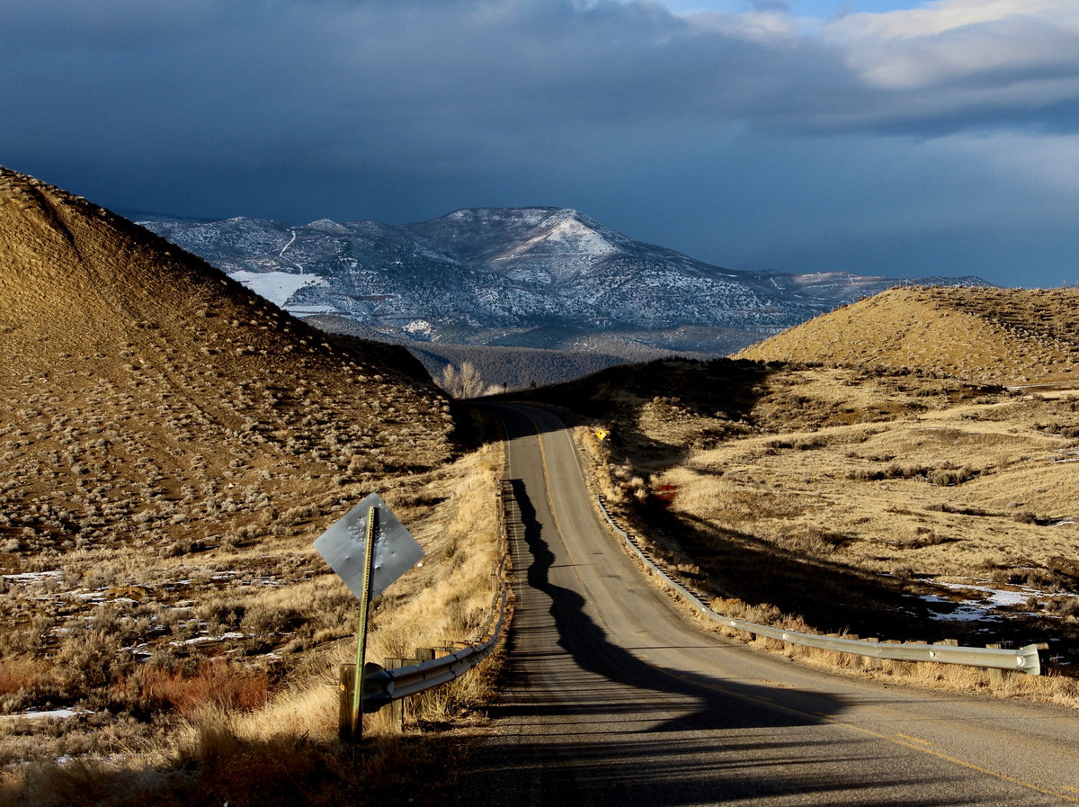 long way home | Paul Stanley Larmer