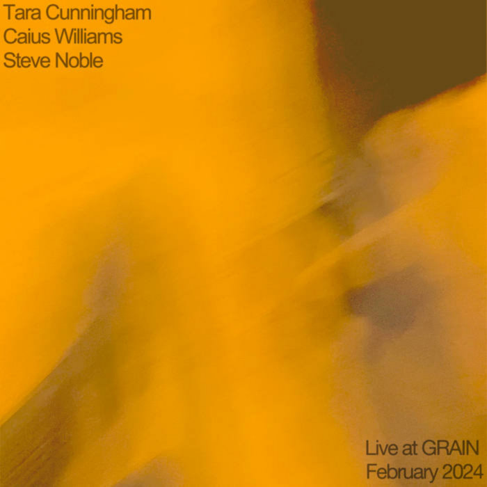 Tara Cunningham / Steve Noble / Caius Williams (live) | Tara Cunningham, Steve Noble, Caius ...
