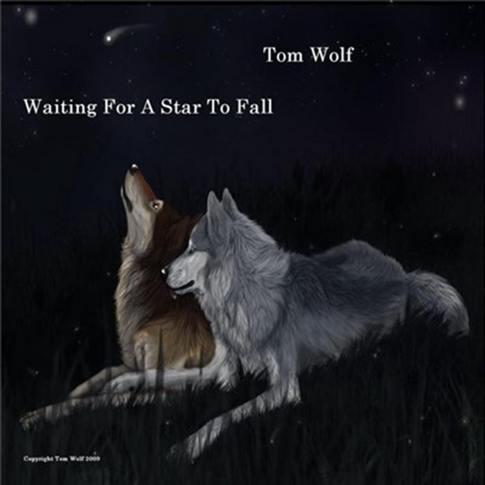Waiting For A Star To Fall | Tom Wolf (3)