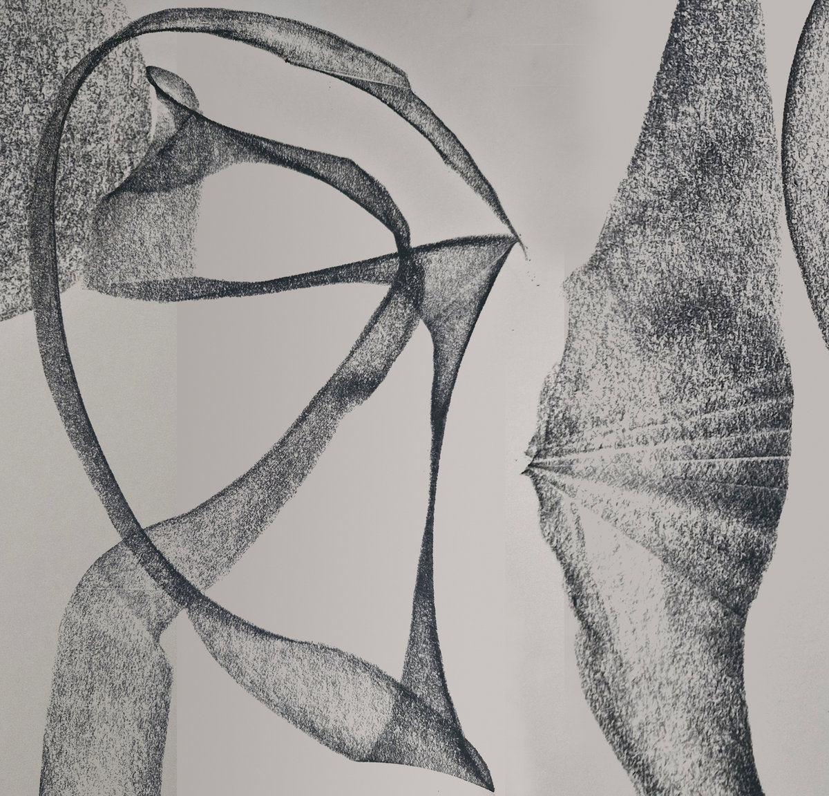 Organelles | Kate Carr and Matt Atkins | Kate Carr