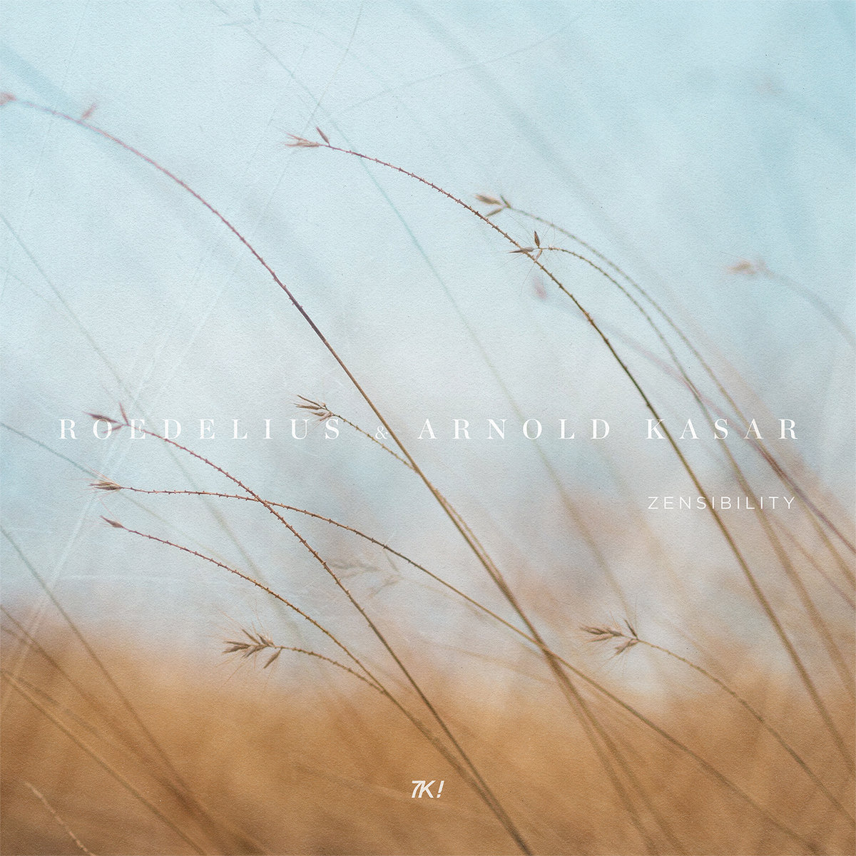Zensibility | Roedelius & Arnold Kasar | Roedelius
