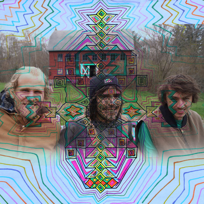 Hold on wait a second | frequency animals