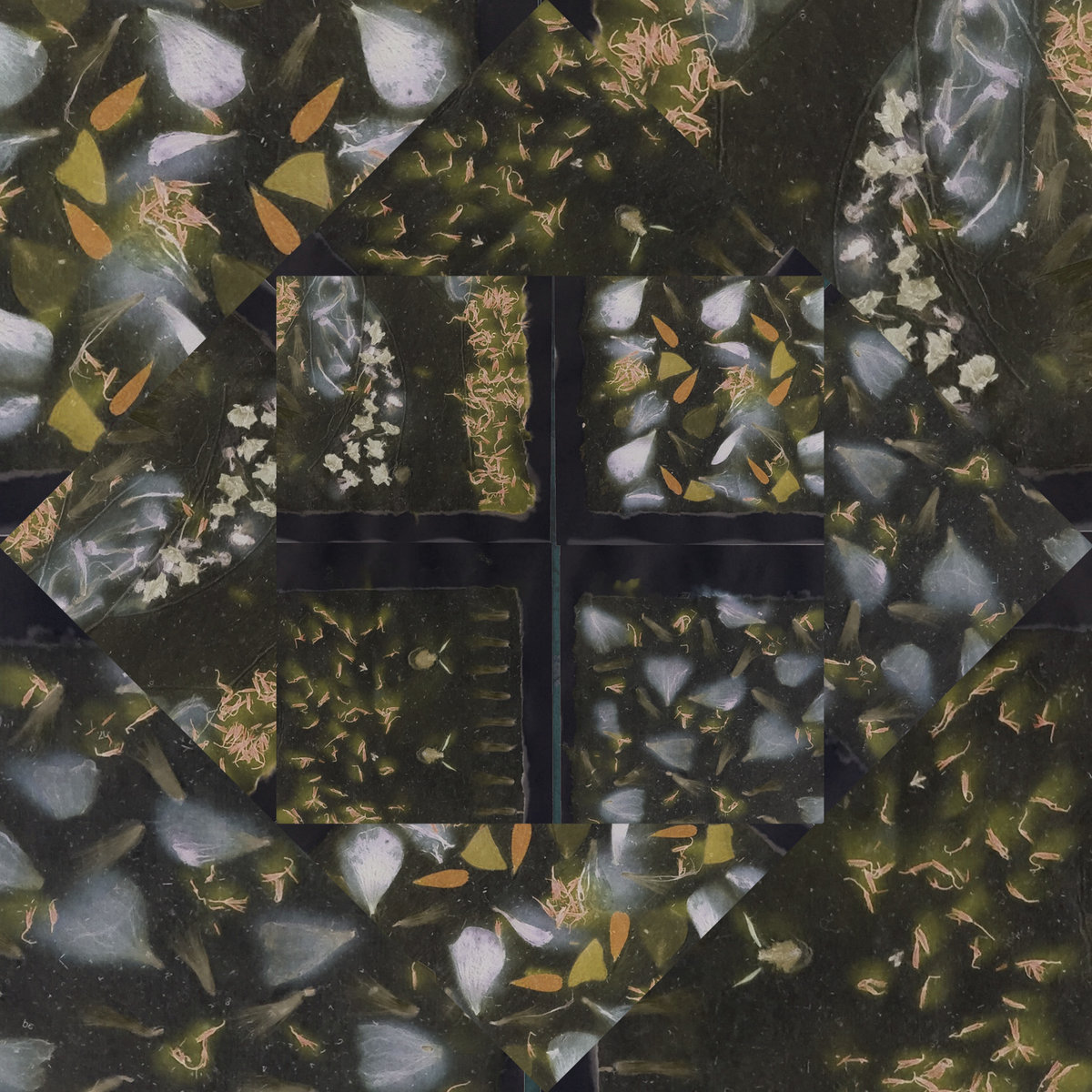 water is the sun | water is the sun