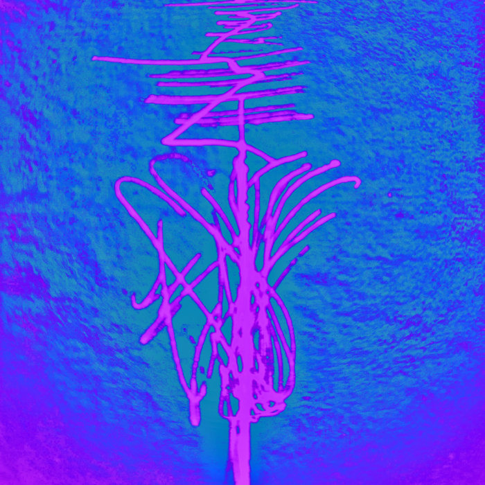 Flower Power | Adam Oracle