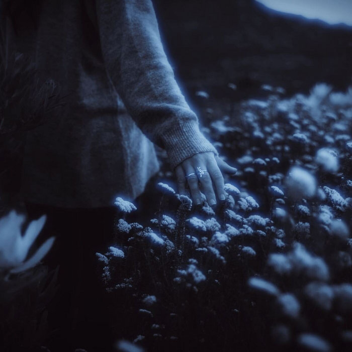 FADING OUT | TXDO