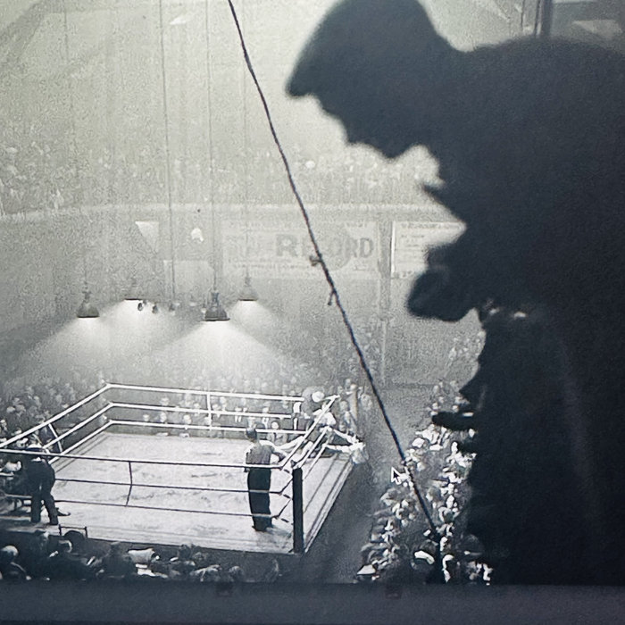 mine! (you're a fool) | Sad Boxer