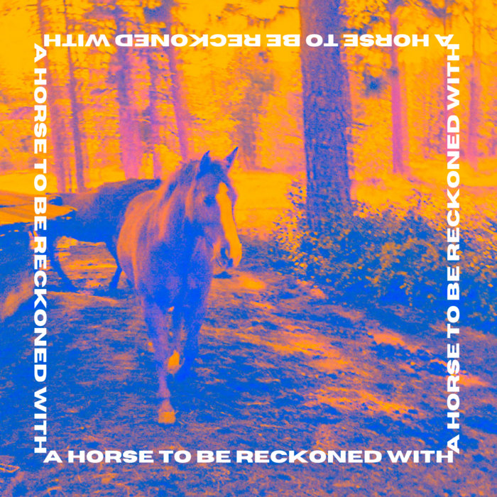 A Horse to be Reckoned With | Babe Lewis