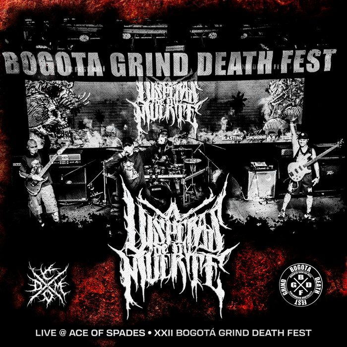 Live @ Ace of Spades • XXII Bogotá Grind Death Fest | A Vísperas de mi ...