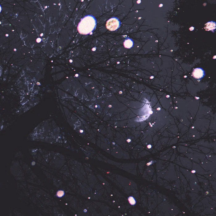 Twilight Mist | elicit