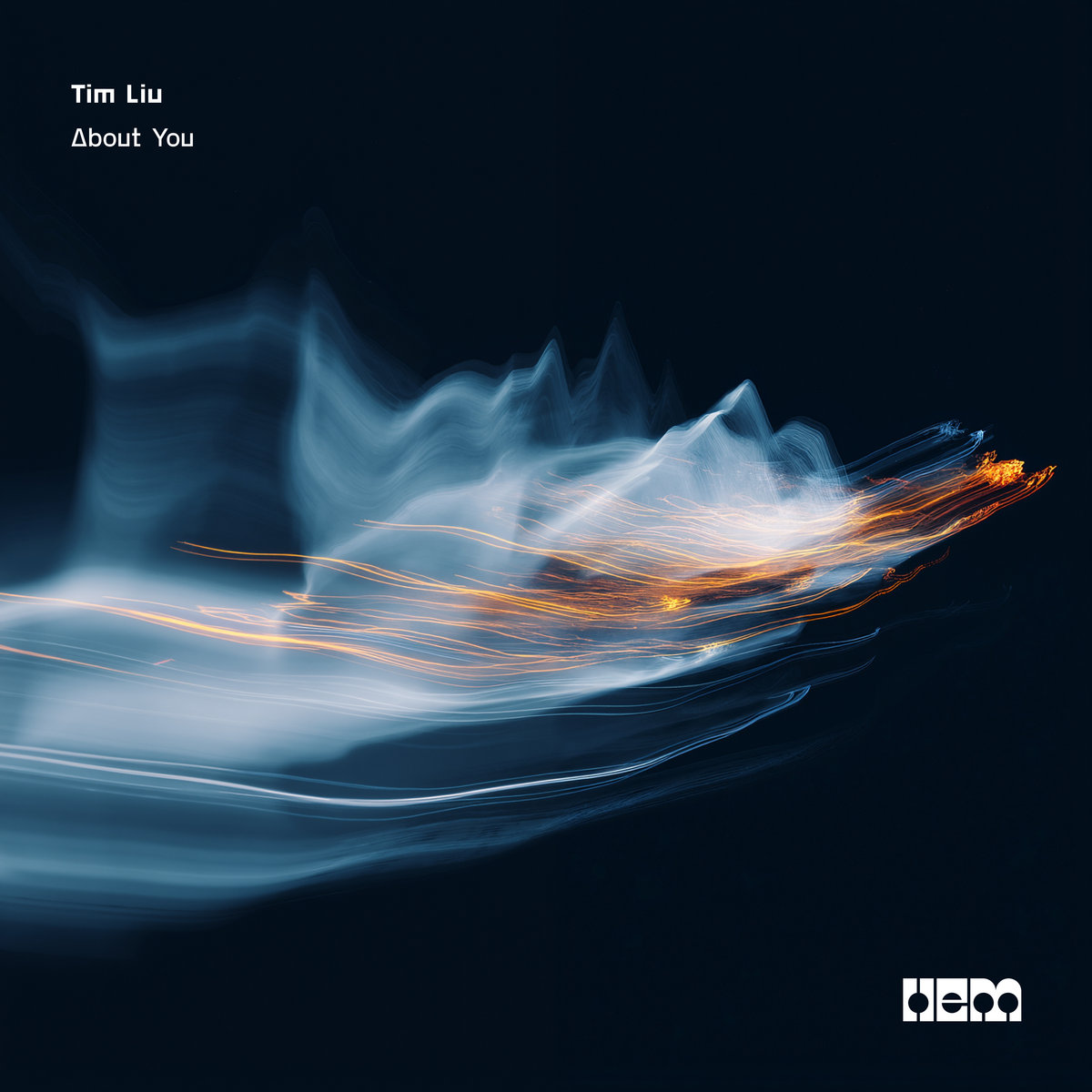 About You | Tim Liu | HEM Records