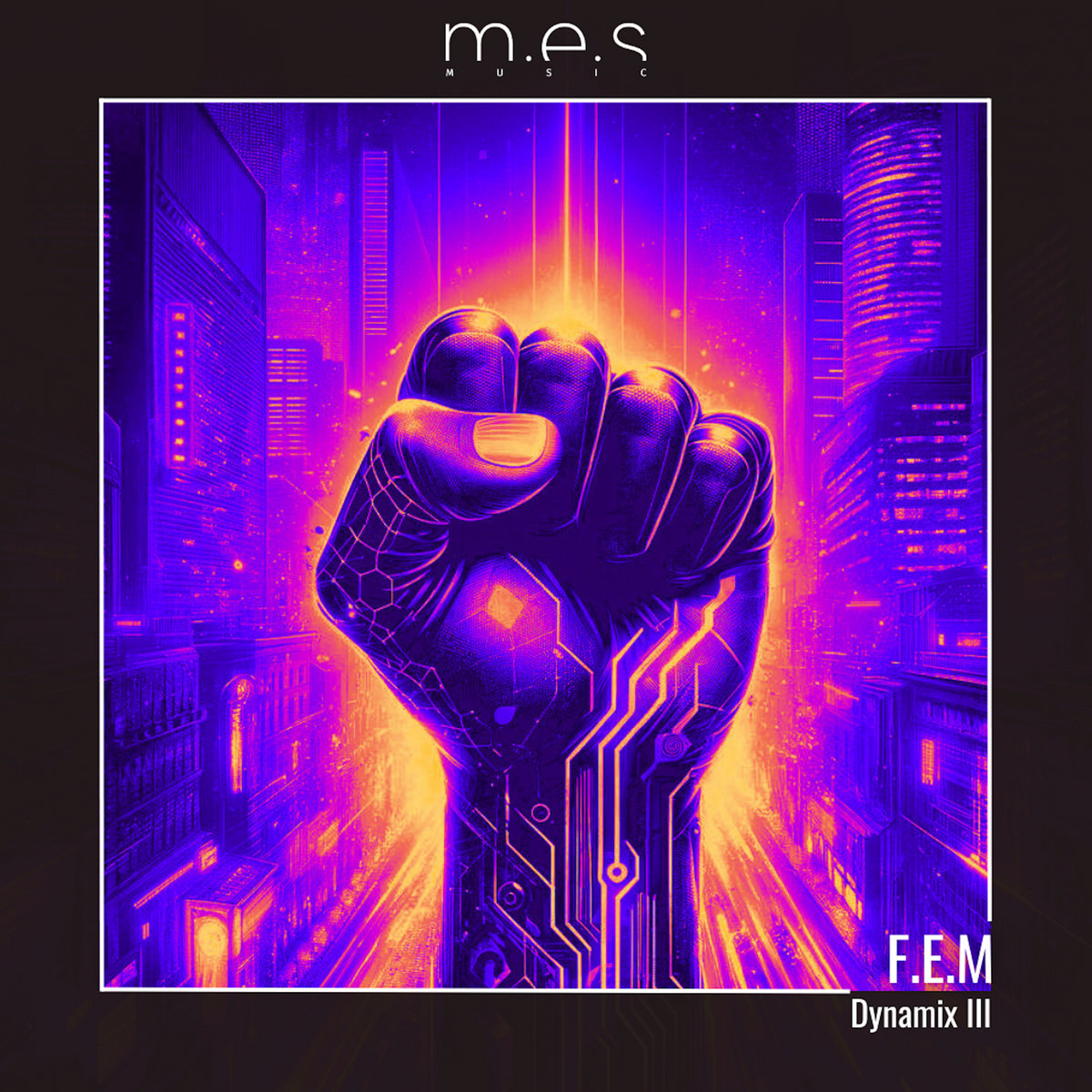 Dynamix III | F.E.M | M.E.S Music