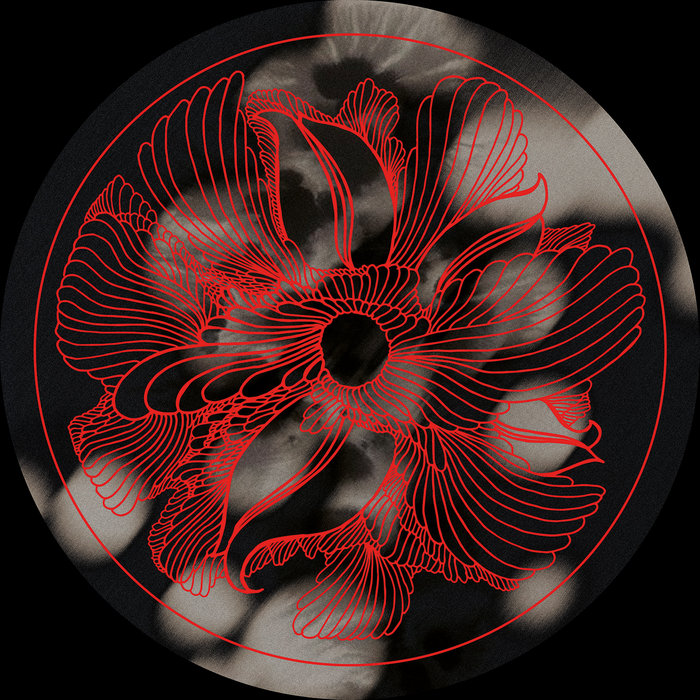 Liljor (EP) - DJ Lily | DJ Lily