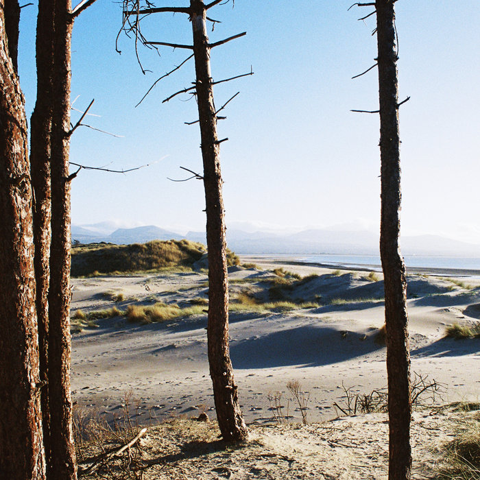 Chrysalis | Getdown Services