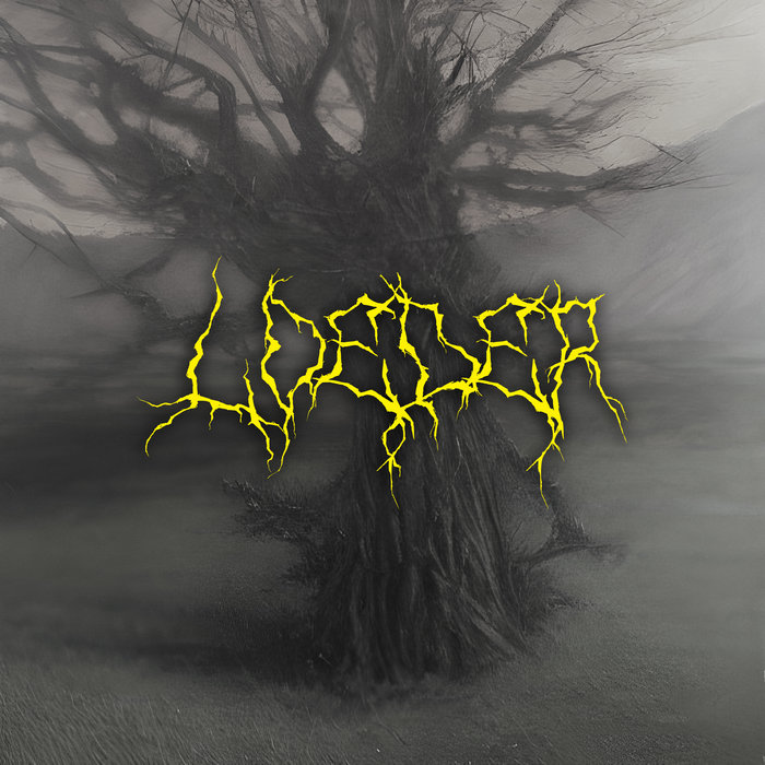 Het gaat voorbij | Loeder