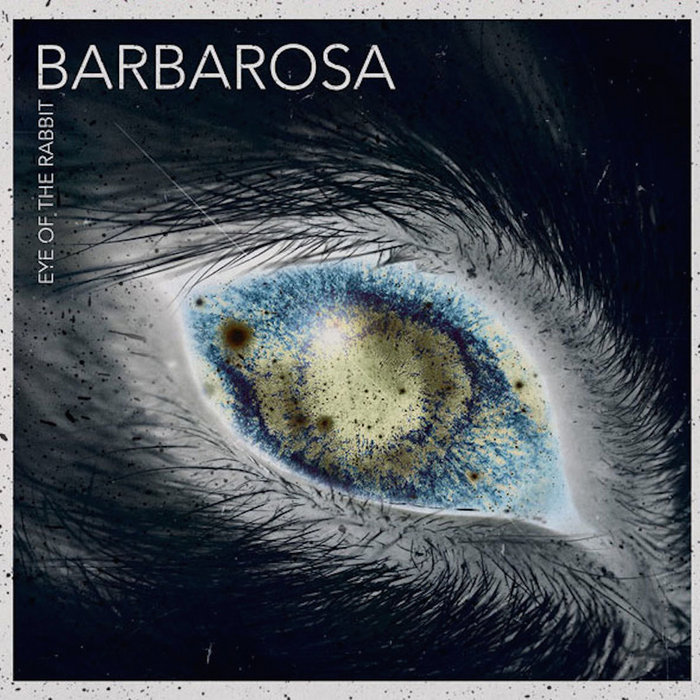 Eye of the Rabbit | Barbarosa