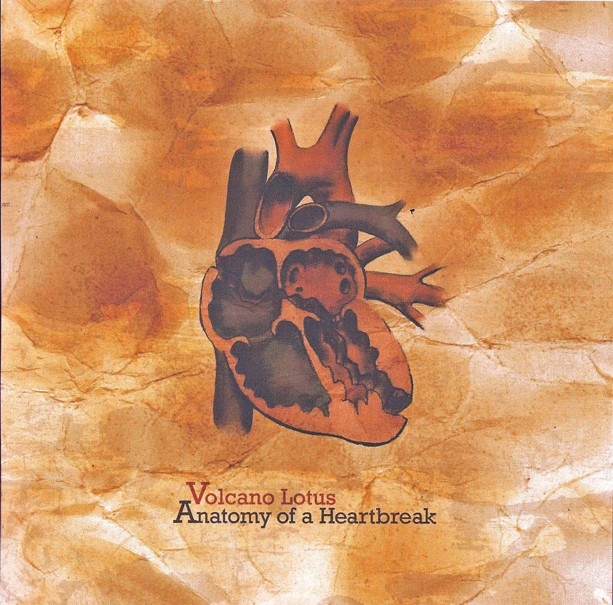 Anatomy of a Heartbreak | Volcano Lotus