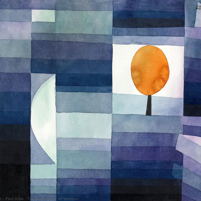 The Shallow Stone | Daniel O'Shea Clements