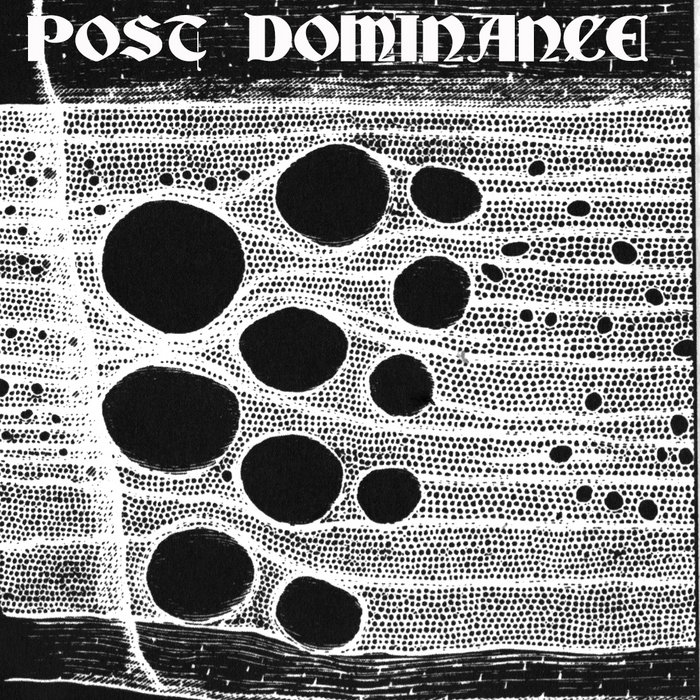 Post Dominance Demos | Post Dominance
