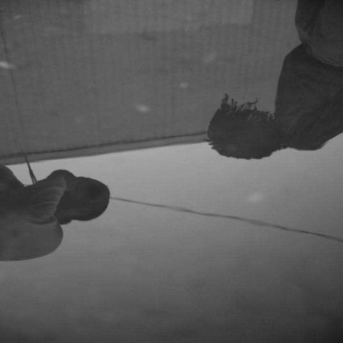 Stop Talking Just Listen | Keith Ledger & Taquan | Keith Ledger