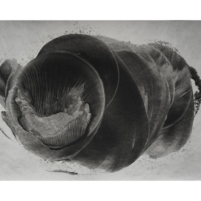 kgkgkg's collection | Bandcamp