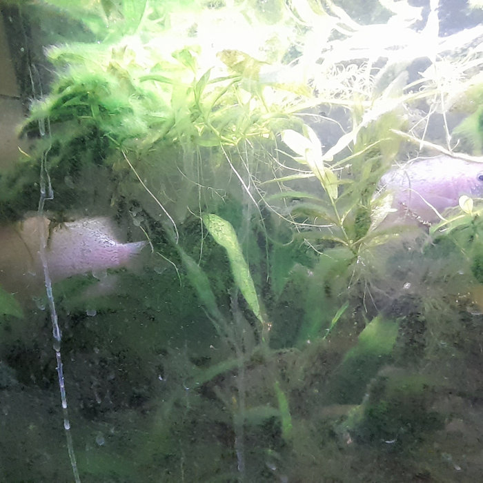 Piano, tape & paper | Jon Ruddick