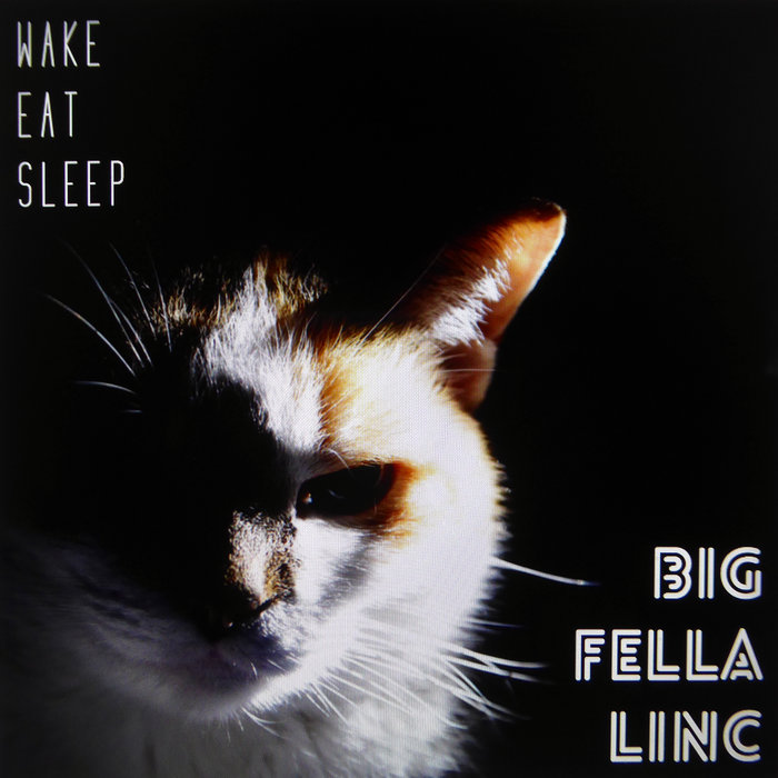 WAKE EAT SLEEP | BIGFELLALINC
