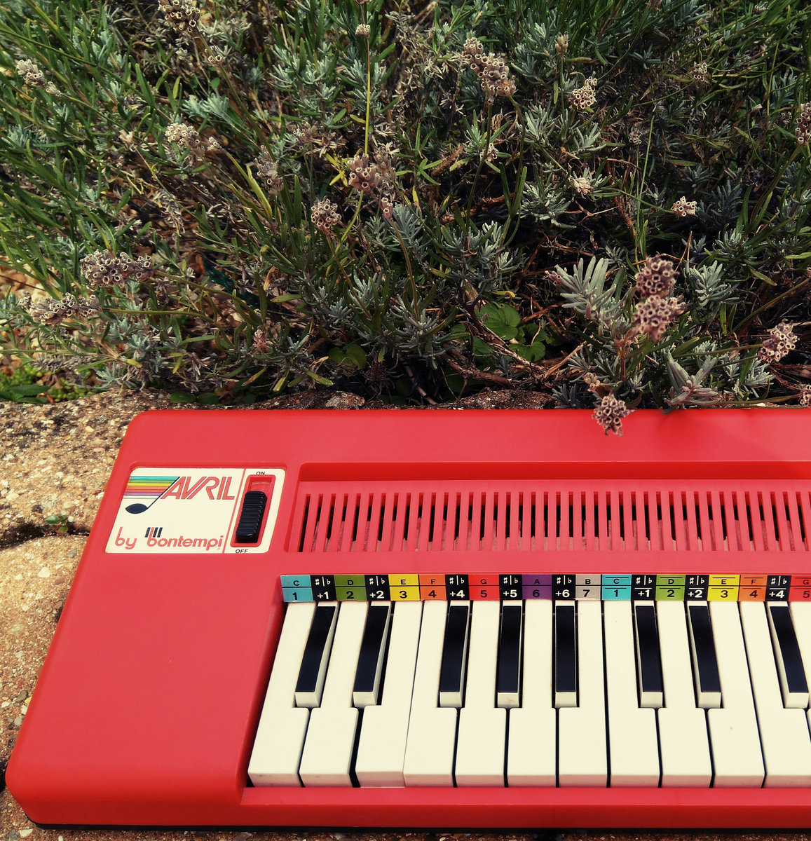 Organ song 1995 FOR ANIMAL SHELTERS | Colleen