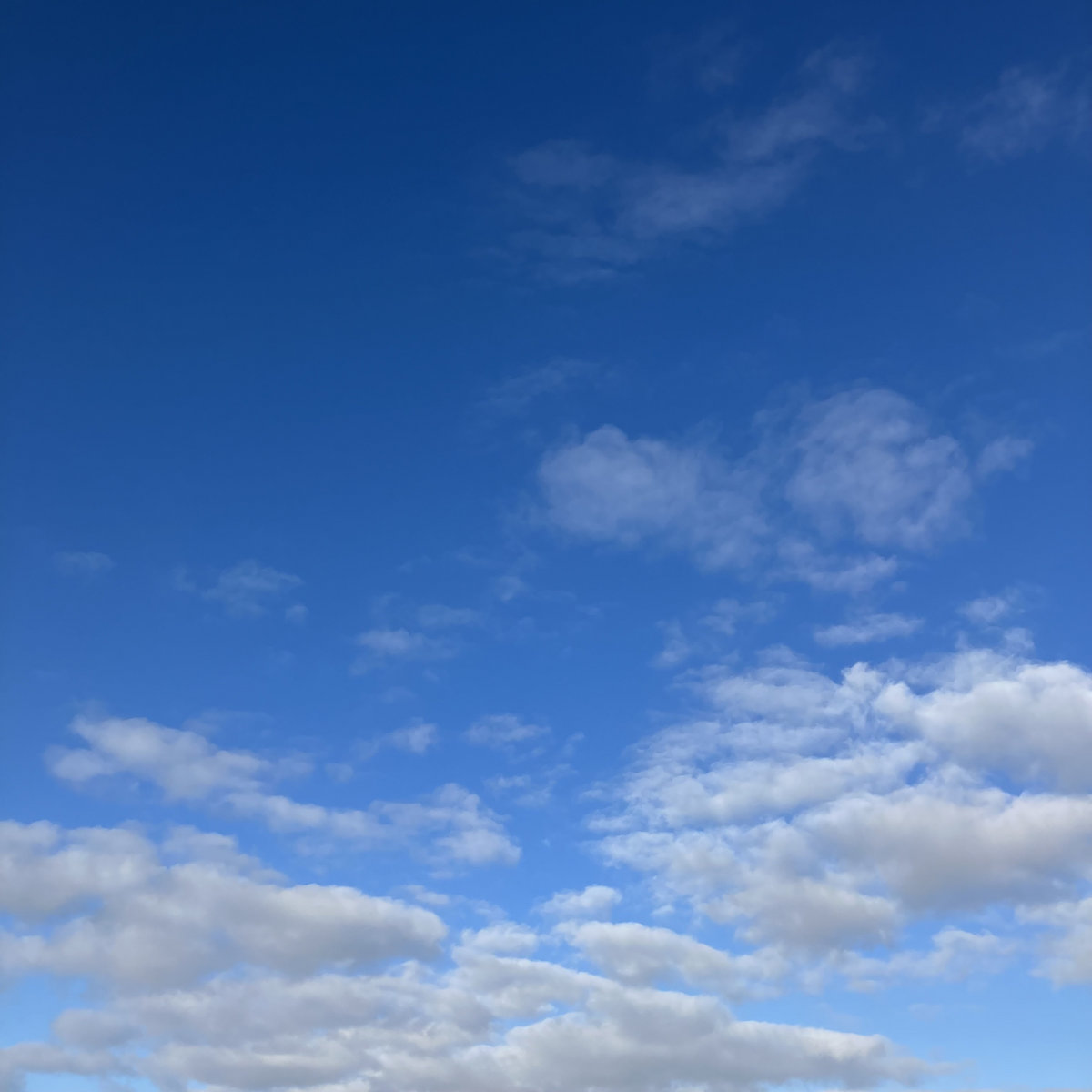 The Longest Moment | Elle Quach