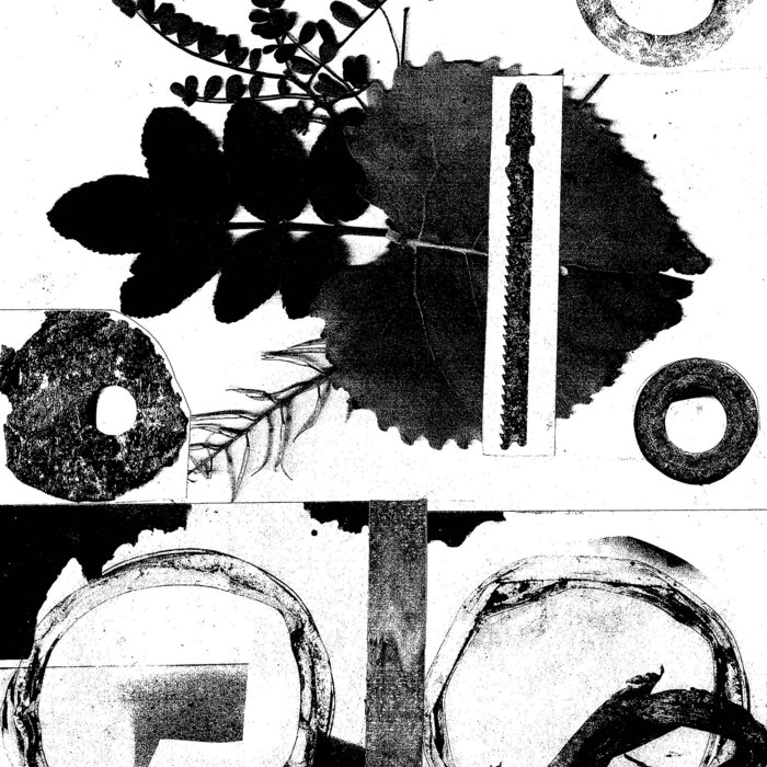 S. Nicaenum: Late Bronze Age Collapse | S Nicaenum | Basement Tapes