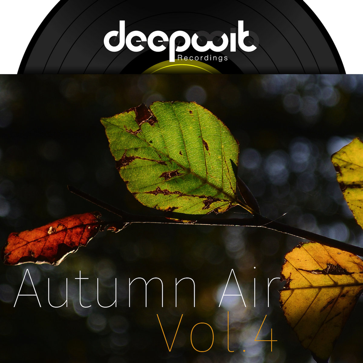 Autumn Air Vol.4 | DeepWit Recordings