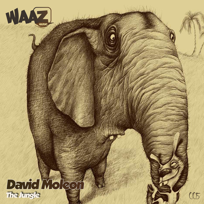 Waaz Music 005 | David Moleon