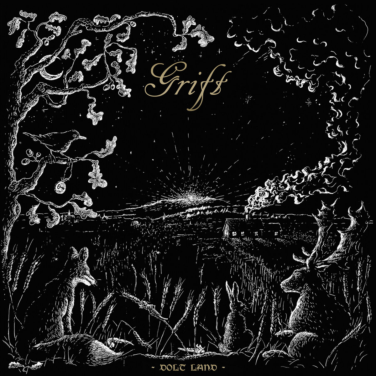 DOLT LAND (HIDDEN LAND) | GRIFT