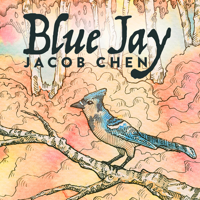Blue Jay | Jacob Chen