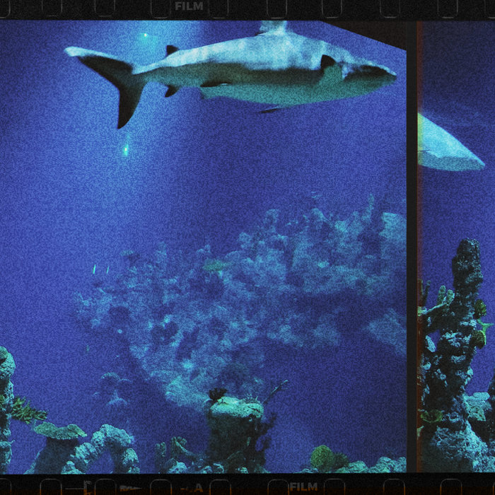 Sounds of the Sea | Bob Tinsley