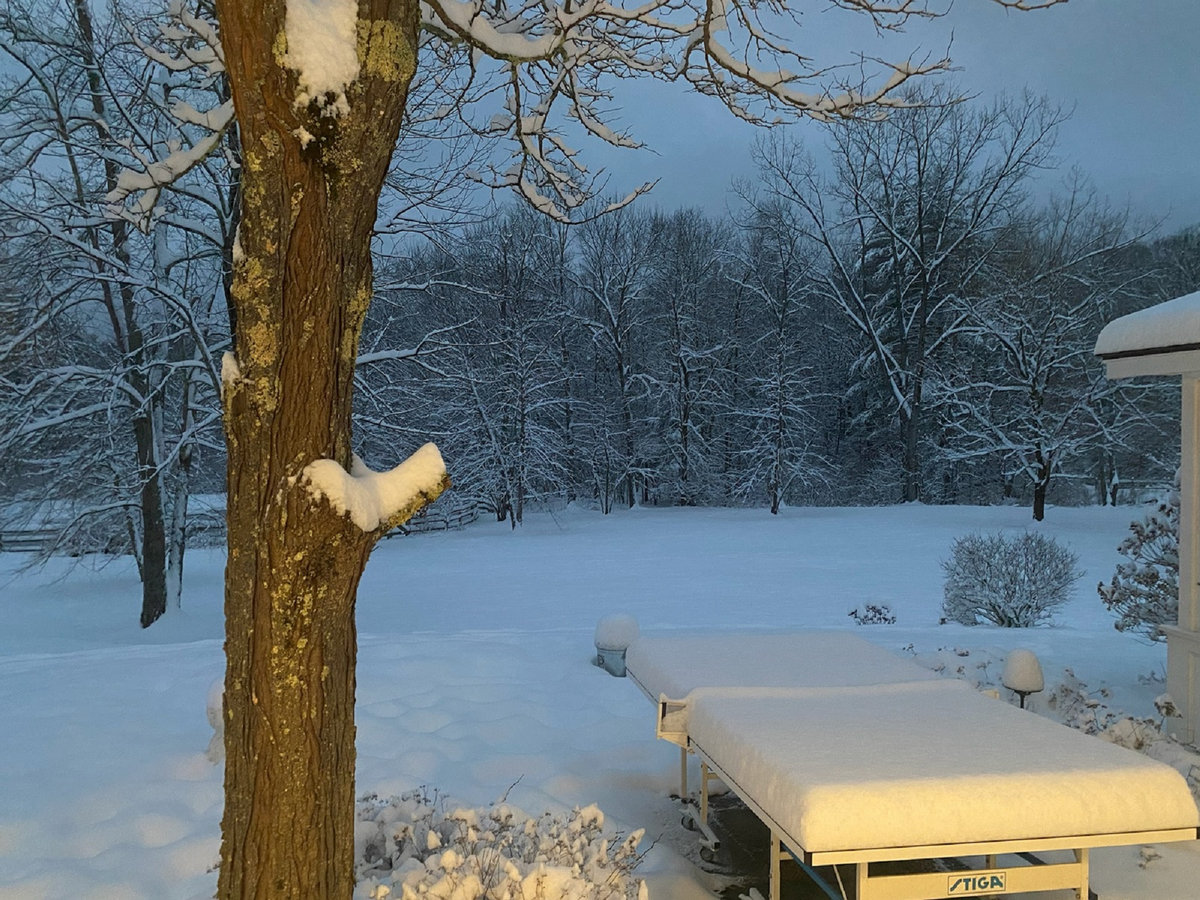 In the Bleak Midwinter | Gary Allison Furr