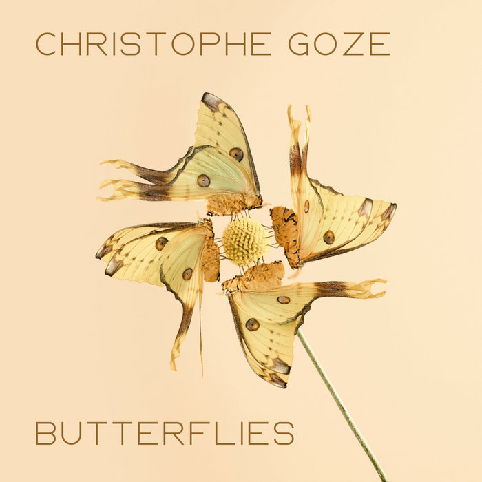 Butterflies | Christophe Goze