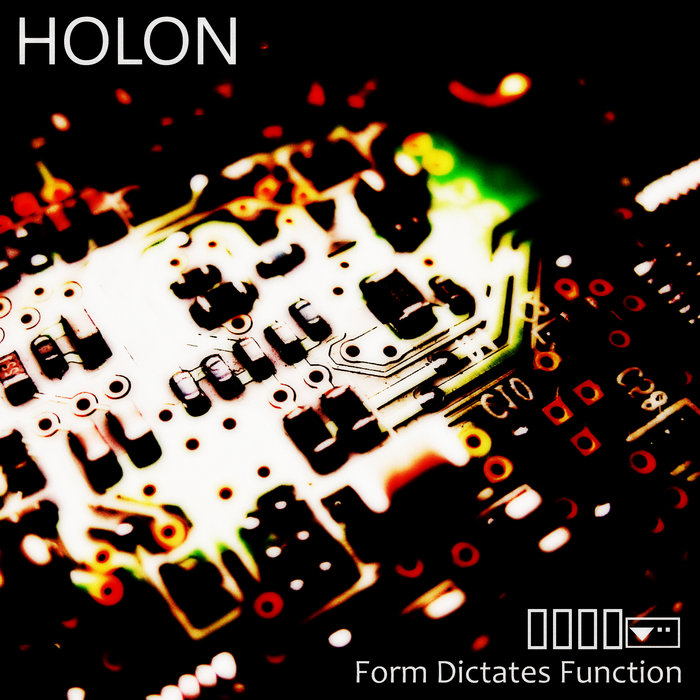 Form Dictates Function | Holon