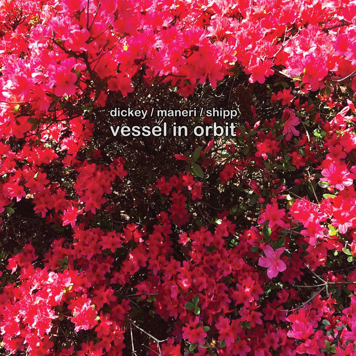 Vessel In Orbit | Whit Dickey / Mat Maneri / Matthew Shipp | Whit Dickey