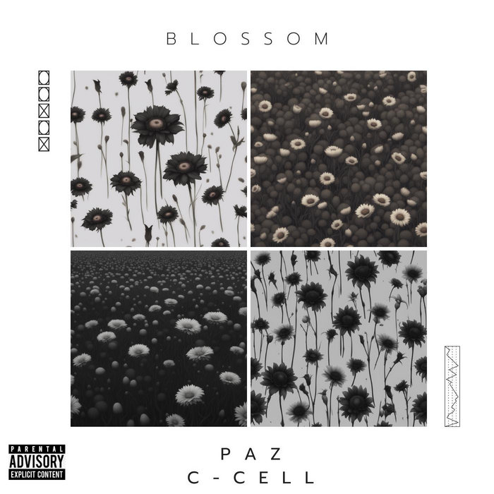 Blossom | C-Cell