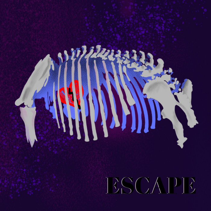 escape | BALDUVIAN BEARS