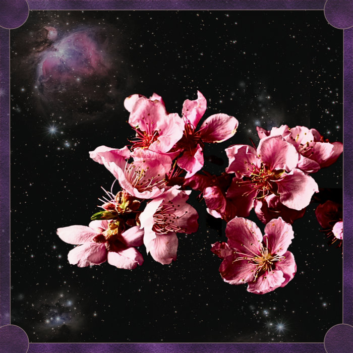 Out of Limbo | Small Infinity