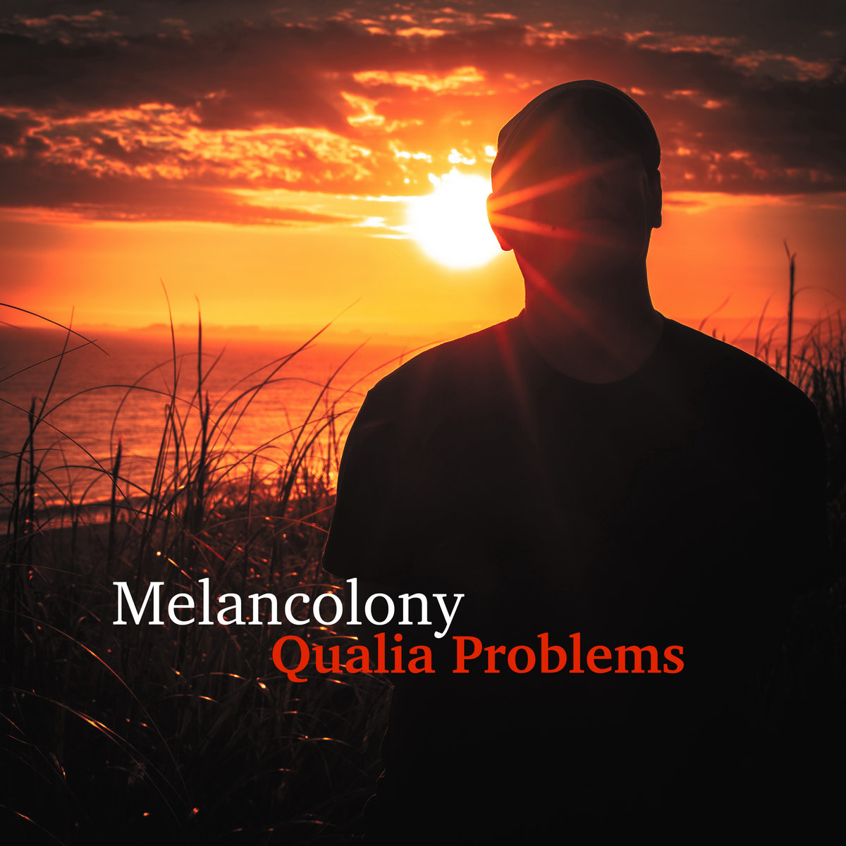 Qualia Problems | Melancolony