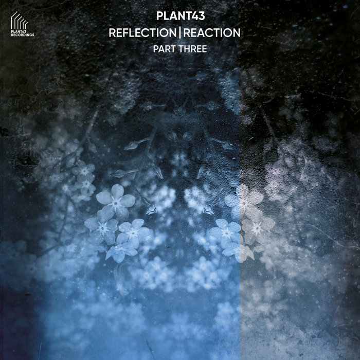 Reflection | Reaction - Part Three | Plant43