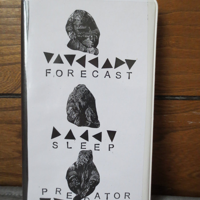 Forecast Sleep Predator split cs(girl tapes) | Forecast