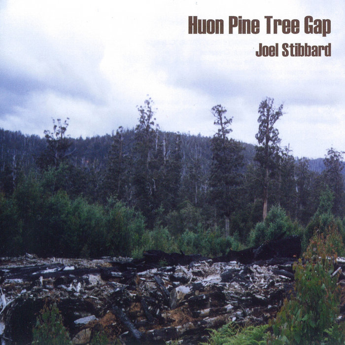 Huon Pine Tree Gap | The Gallant Trees