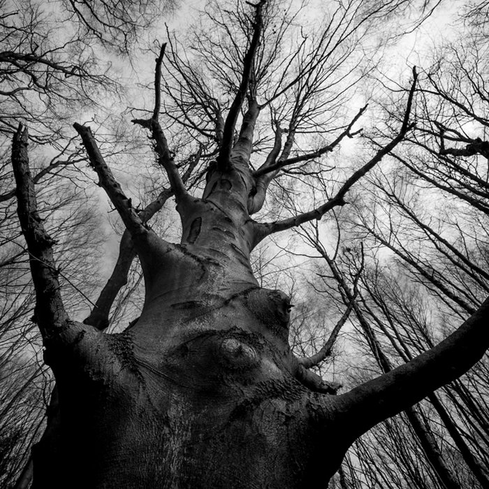 Snake Plisken Vol.2 | Snake Plisken