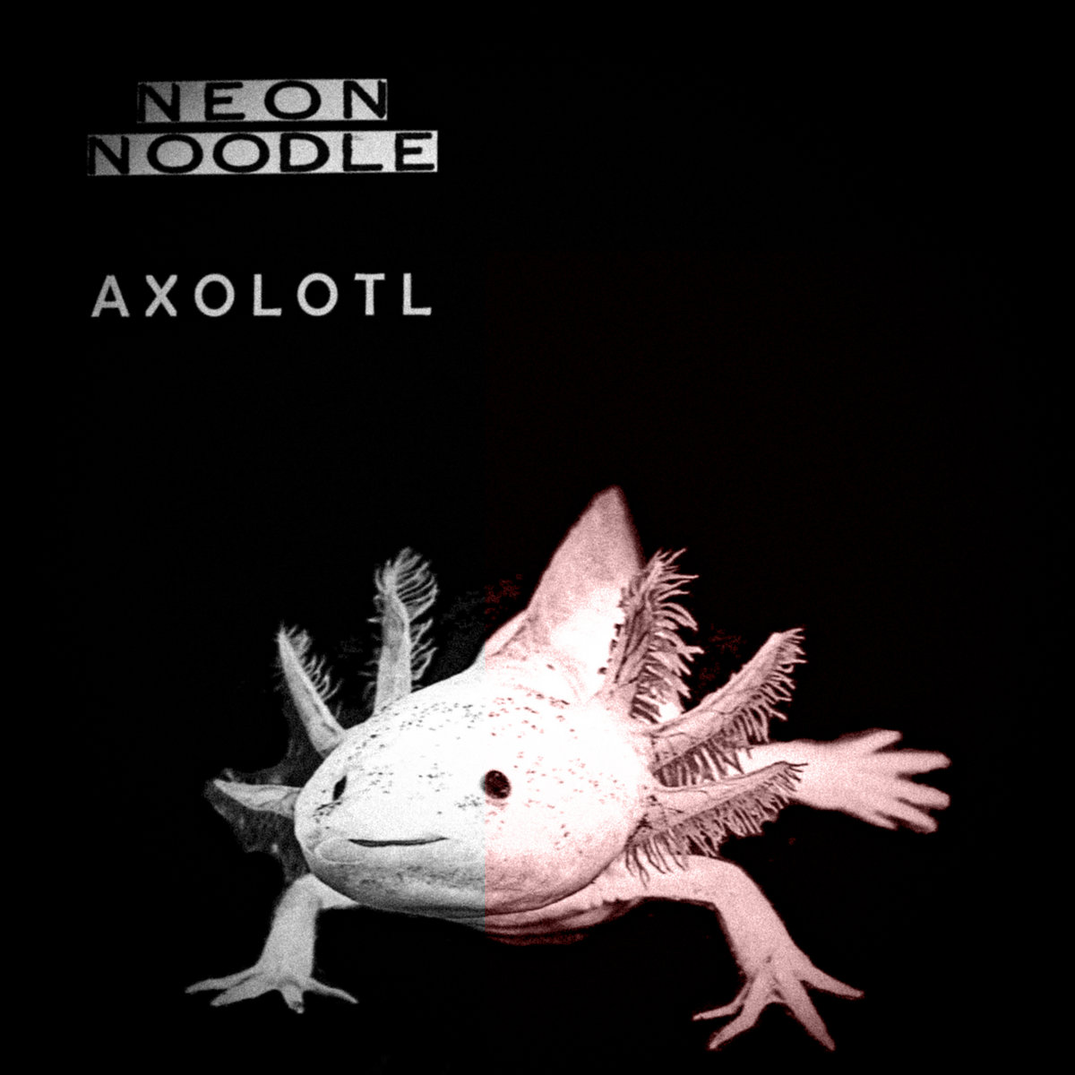Axolotl Glow In The Dark