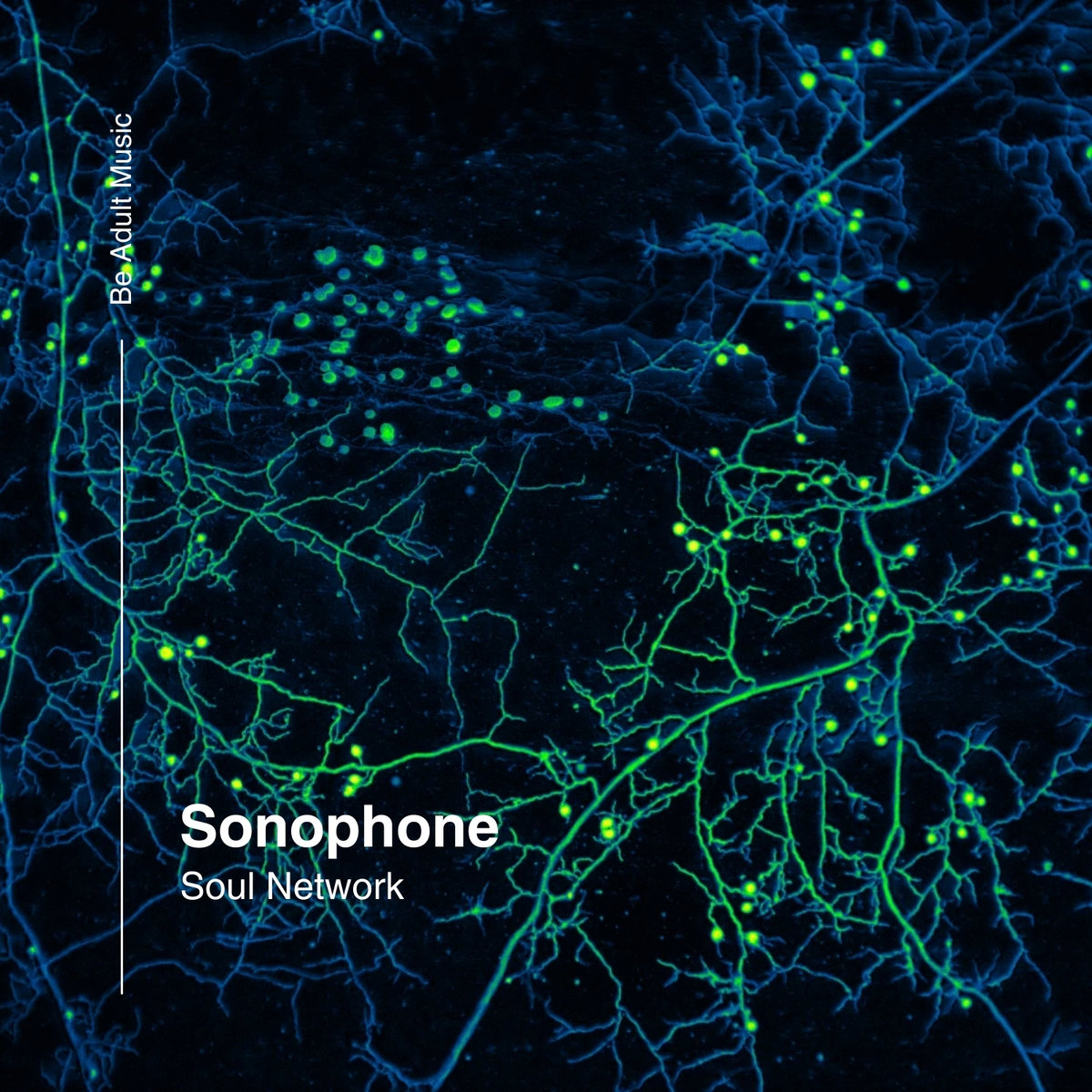 Soul Network | Sonophone | Be Adult Music
