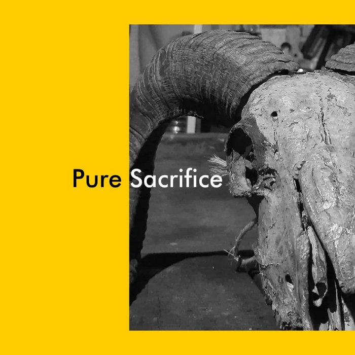 Pure Sacrifice | In The Rosemary Dreams