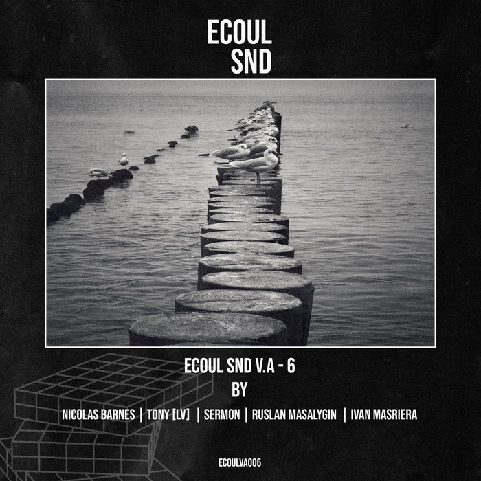 ECOUL SND V . A 6 | Various Artists | ECOUL SND